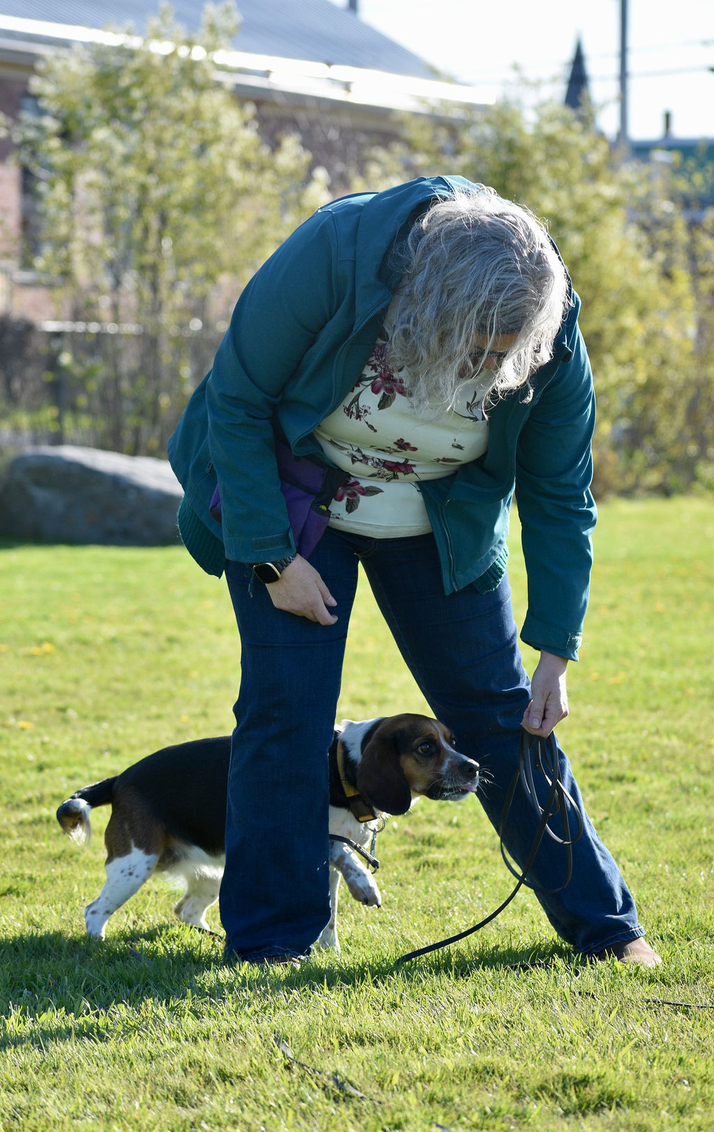How Many Training Sessions Does it Take to Train Your Dog?